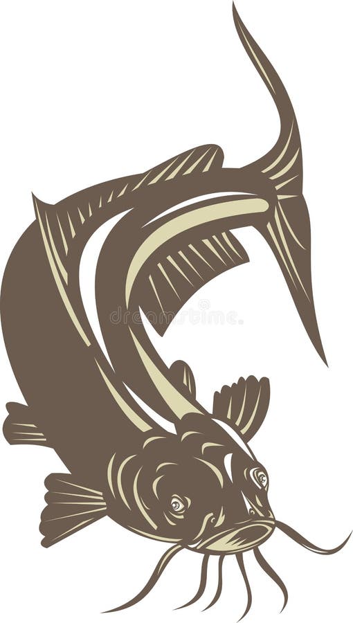 Onderwater Zwemmen Van De Katvis Stock Illustratie - Illustration of ...