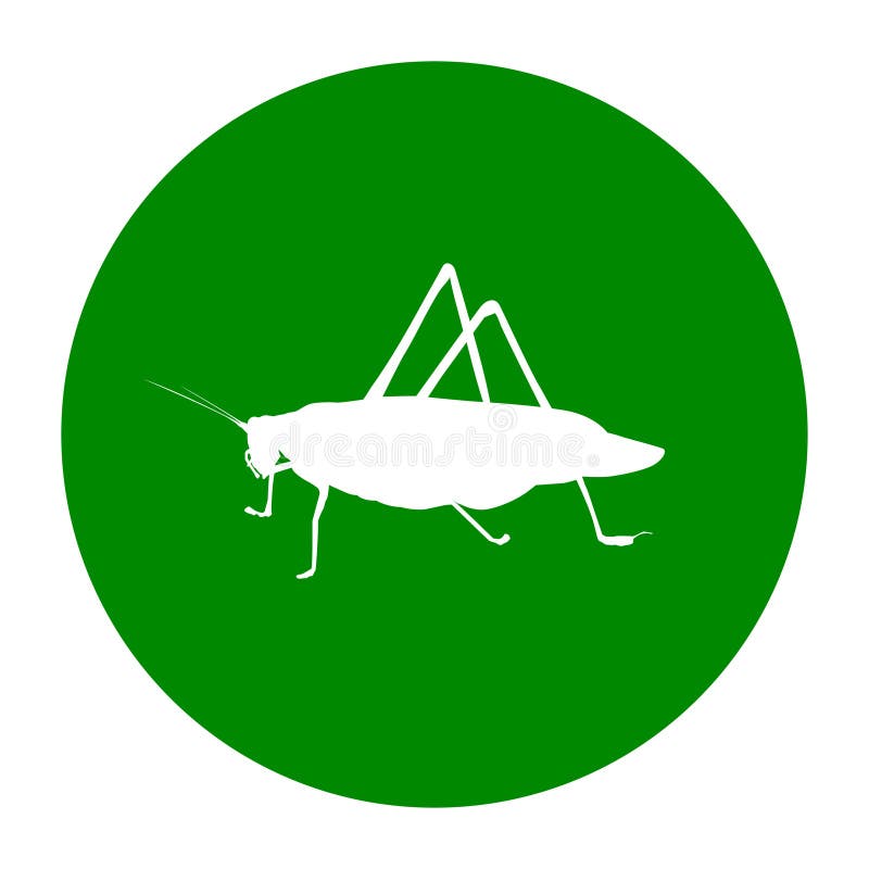Katydid grasshopper icon stock illustration. Illustration of green ...