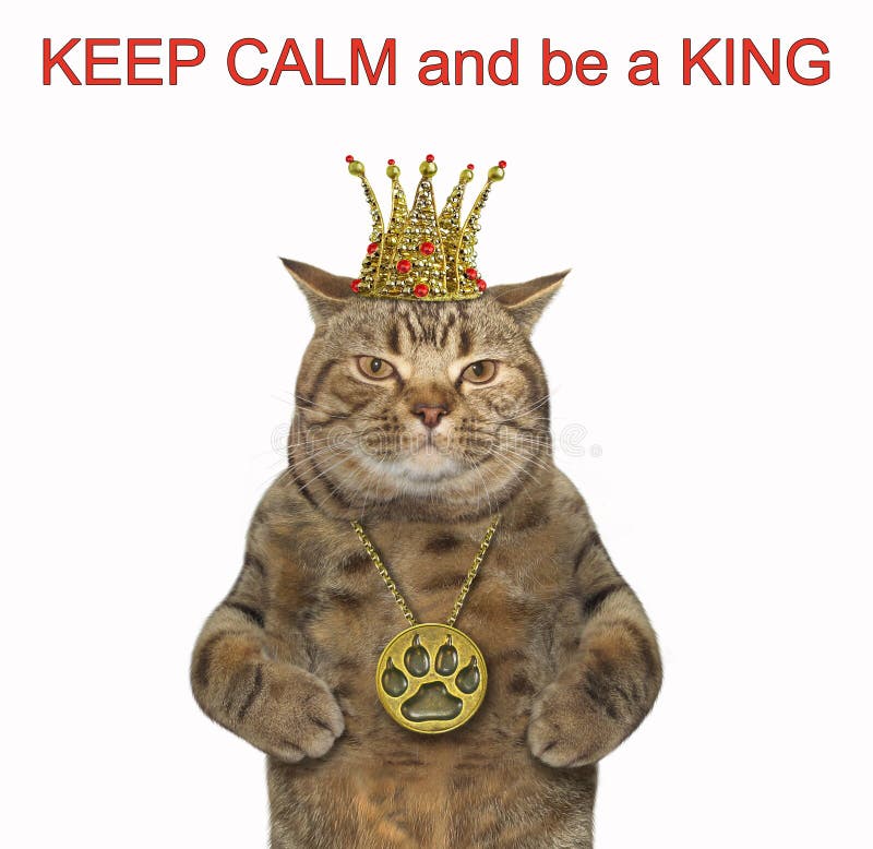 Katze Mit Einer Krone Und Einem Medaillon 2 Stockfoto - Bild von ...