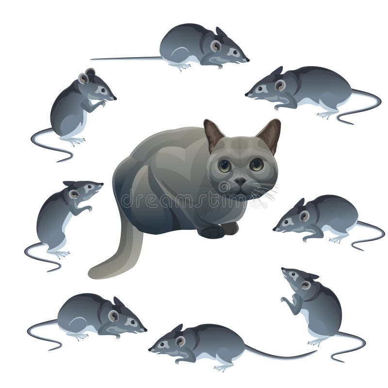 Cat And Mouse Friendship Image Vektor Abbildung - Illustration von bild ...