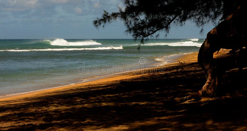 Shell beach stock photo. Image of horizon, coast, dawn - 255044