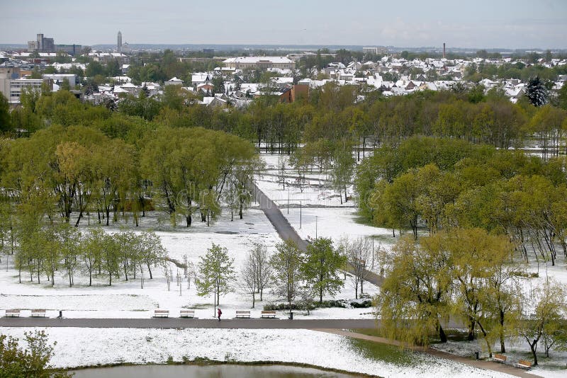 Kaunas Lithuania. Snow on May 12 Morning in Kaunas. Object Name:weather ...