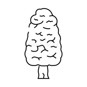 Kauri Tree Stock Illustrations – 91 Kauri Tree Stock Illustrations ...