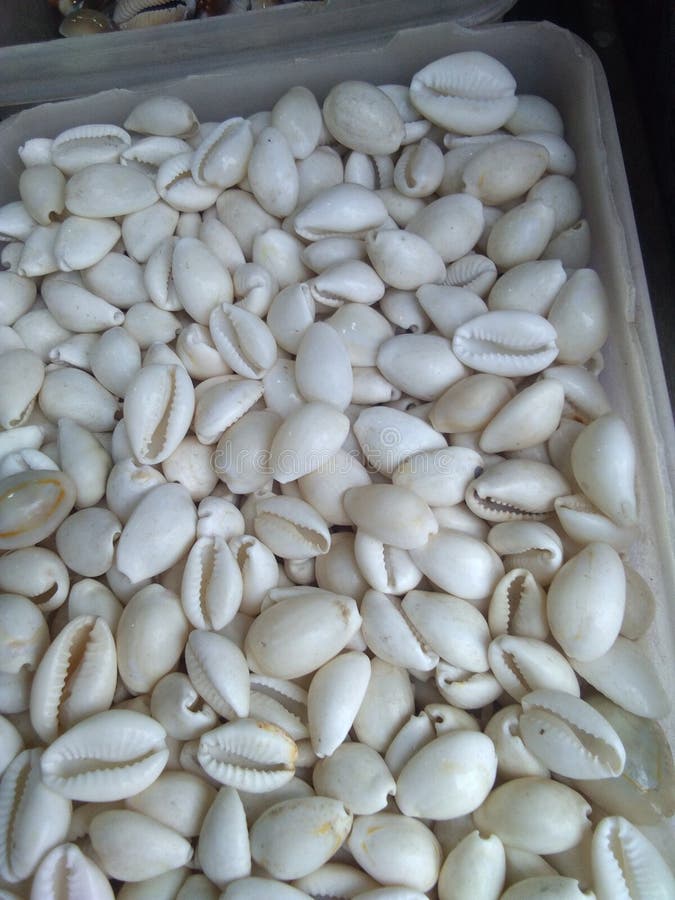 Kawadi a ancient rupee stock photo. Image of produce - 216785208