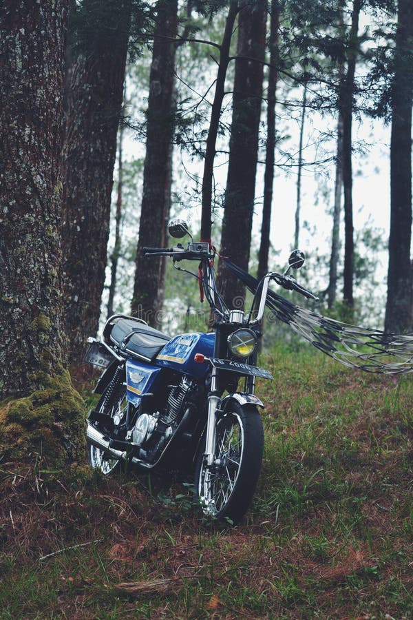 Kawasaki Binter Merzy KZ200 Editorial Stock Image - Image of binter ...