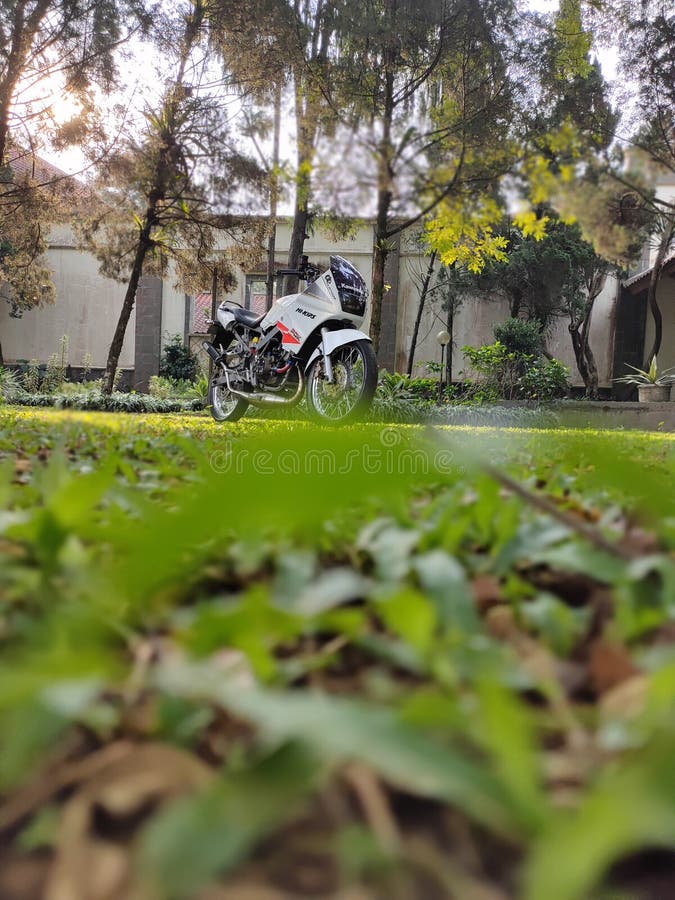 Kawasaki ninja ssr 150 photographie éditorial. Image du forêt - 228510742