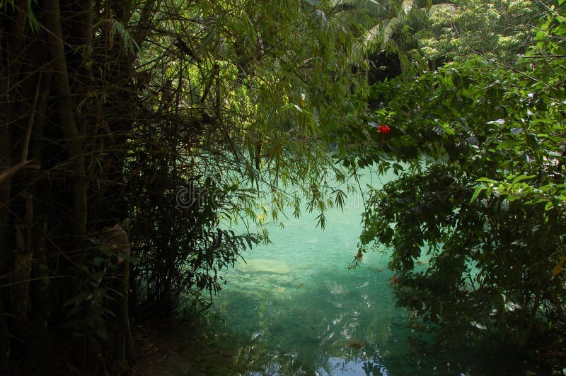 Kawasan River in Cebu, Philippines Stock Photo - Image of asia, river ...