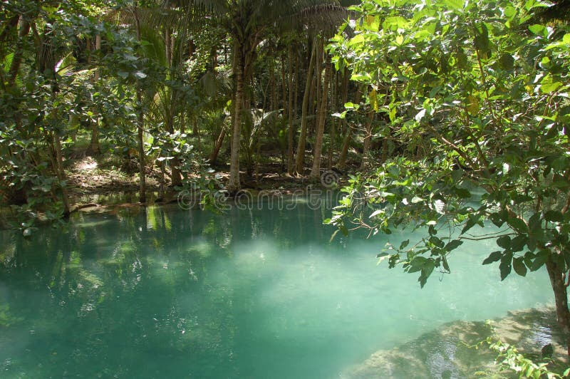 Kawasan River in Cebu, Philippines Stock Image - Image of forest, creek ...