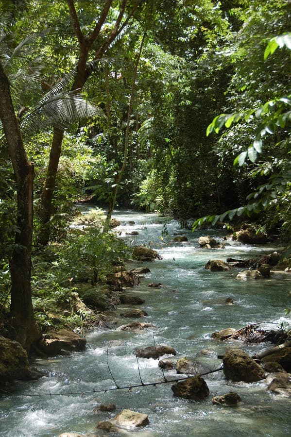 Kawasan River in Cebu, Philippines Stock Image - Image of arroyo, rapid ...