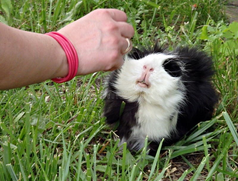 Ewa Liszewska (Liszka23) - Photographer profile