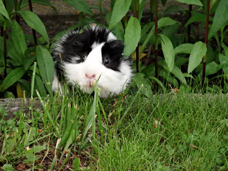 Ewa Liszewska (Liszka23) - Photographer profile