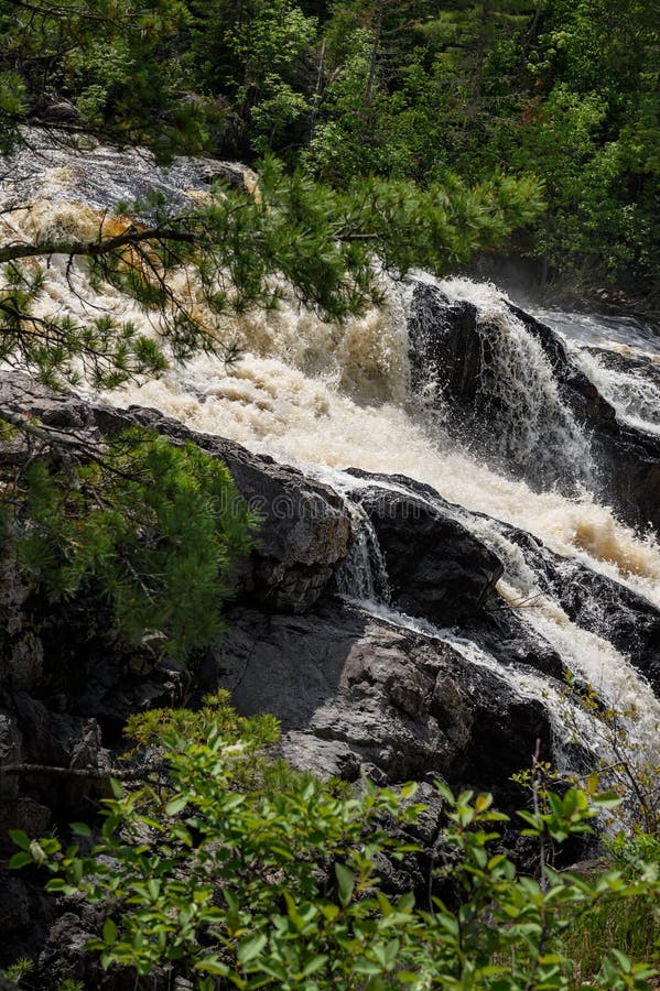 Kawishiwi Falls through Pine Trees Stock Photo - Image of forest ...