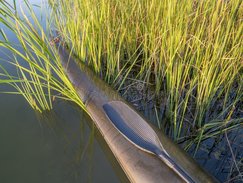 Kayak bow in cattail stock image. Image of paddling, water - 44984237