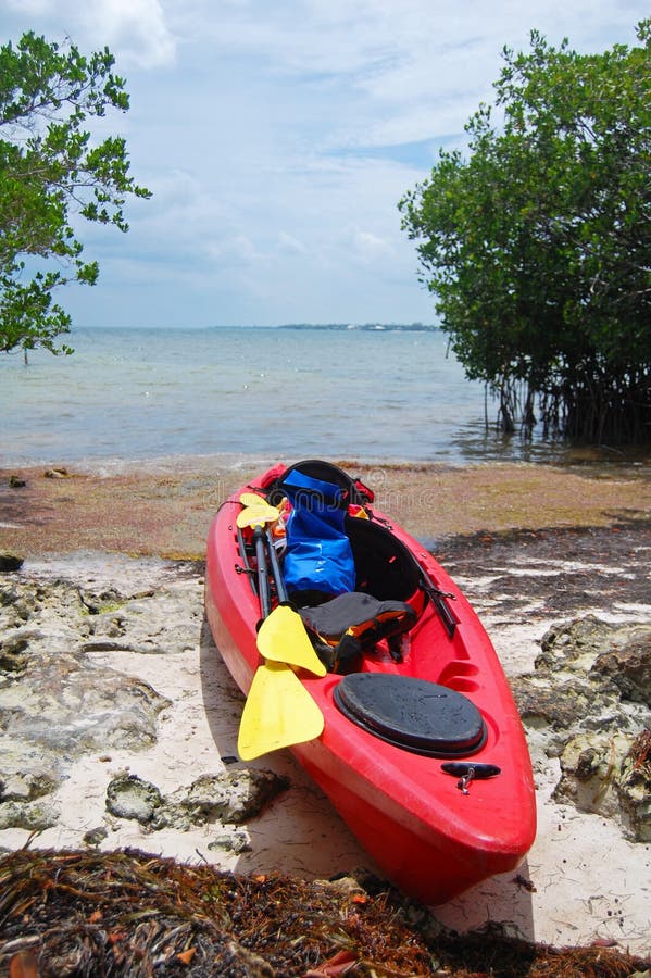 Kayak Expedition between Icebergs in Narsaq Fiords, South West ...