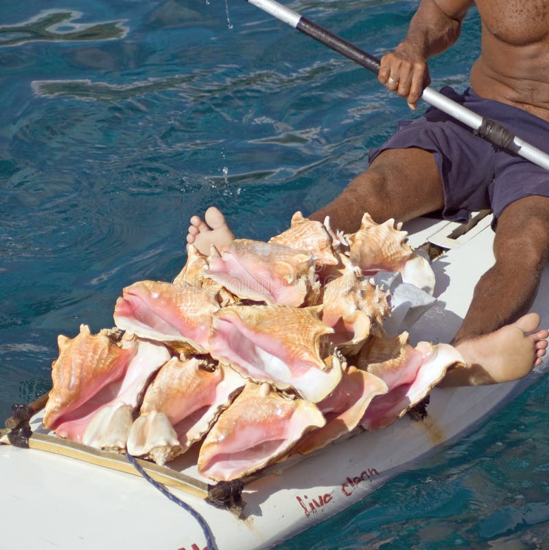 Kayak full of conch square stock photo. Image of carry - 4435318