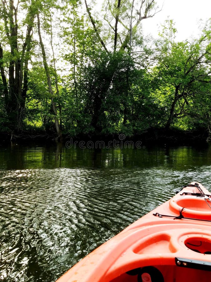 Kayak stock image. Image of trees, summer, kayaking, kayak - 84539315