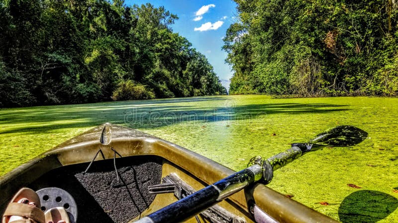 Kayak stock image. Image of kayak, swamp, nature, moss - 100989209
