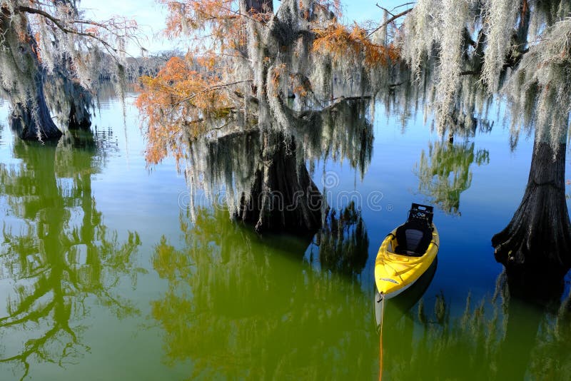 Kayak at Lake Martin Louisiana Editorial Stock Image - Image of water ...