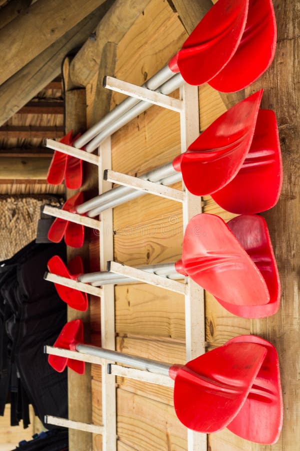 Kayak paddles stock image. Image of blade, activity, equipment - 47243557