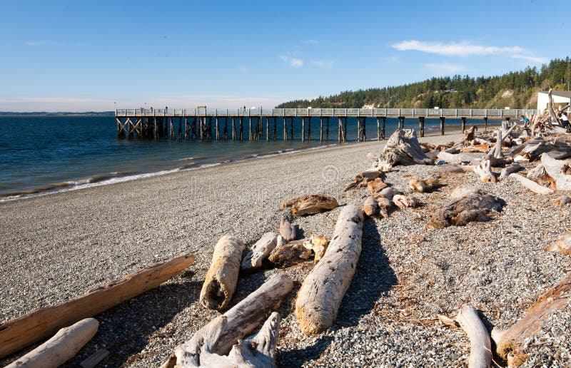 Kayak Point Park Beach stock photo. Image of logs, stanwood - 29268036
