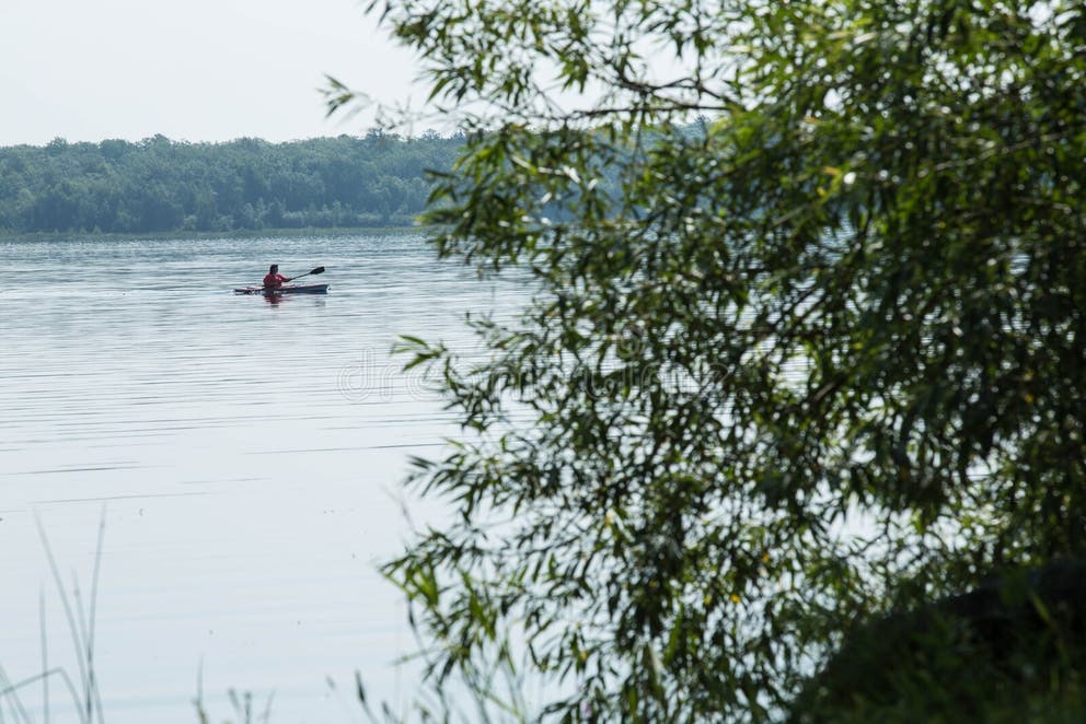 Kayaker Rowing on Lake Michigan with Tree Stock Photo - Image of relax ...