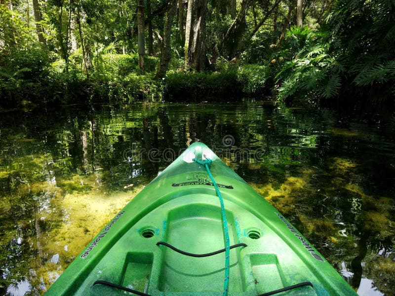 Kayaking in Florida editorial stock photo. Image of natural - 128299988