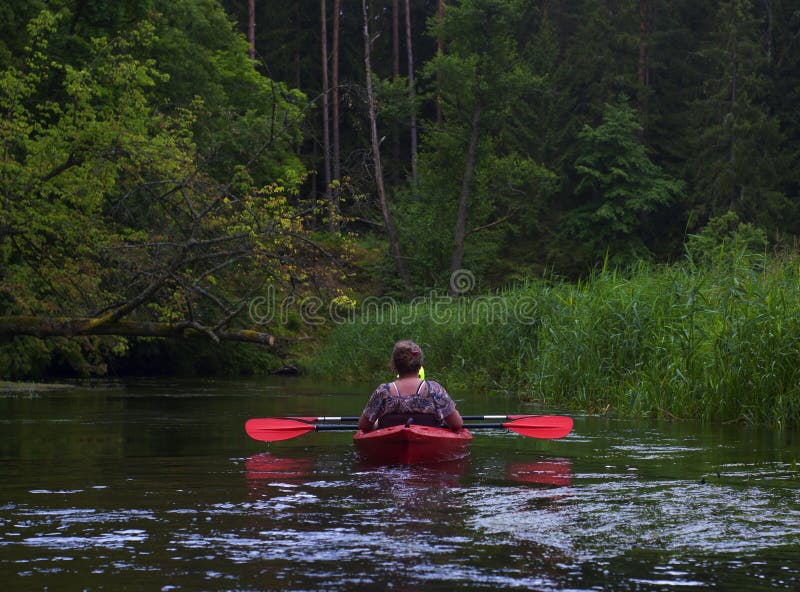 Kayaking on the River through Forest Stock Image - Image of kayak ...