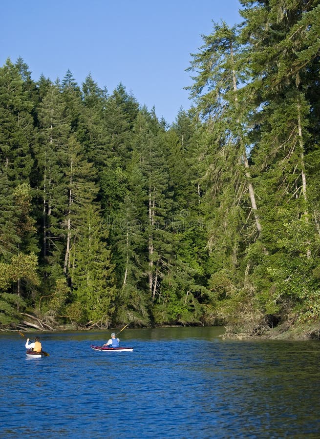 Kayaking South Puget Sound Stock Photos - Free & Royalty-Free Stock ...