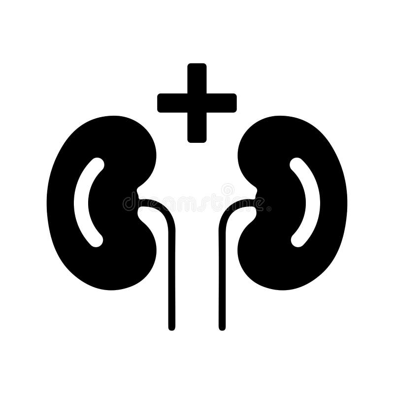 Kdneys, Nephrology Icon. Black Vector Graphics Stock Vector ...