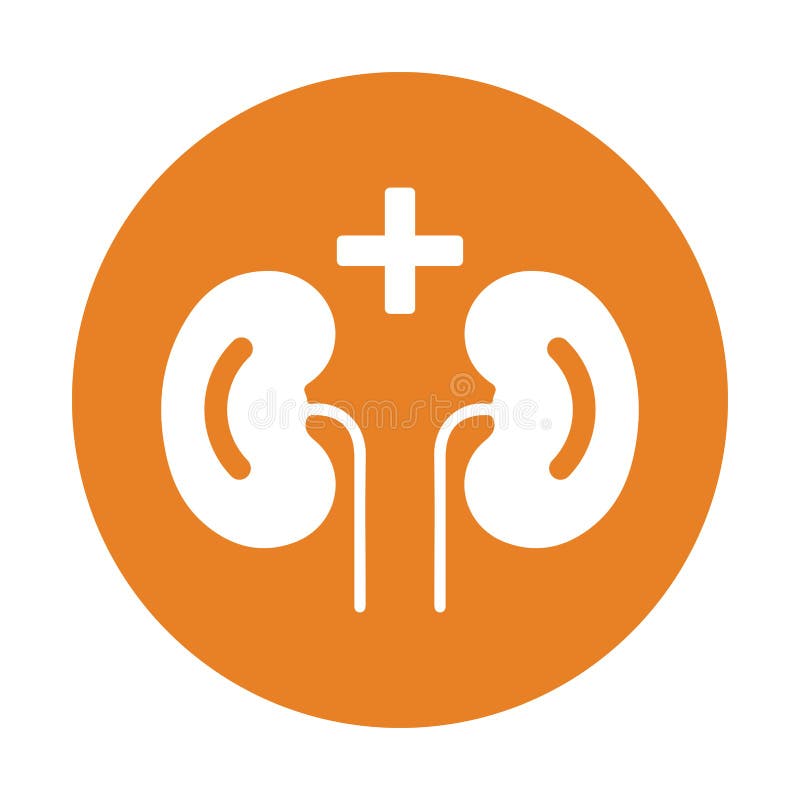 Kdneys Nephrology Icon Orange Color Vector Eps Stock Vector