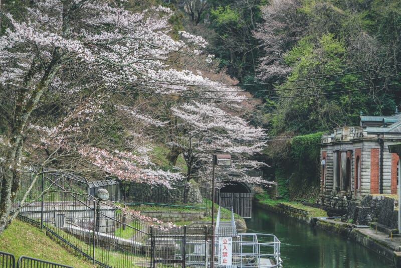 A Keage Incline Lined with Cherry Trees in Higashiyama, Kyoto Stock ...