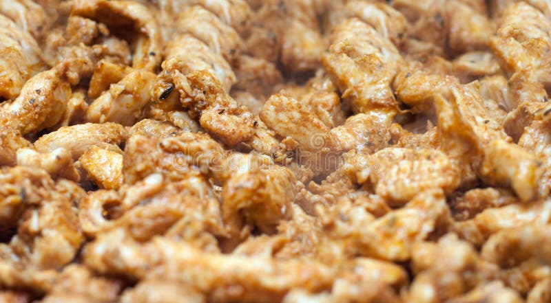 Kebab background stock image. Image of leek, food, delicacy - 30875697