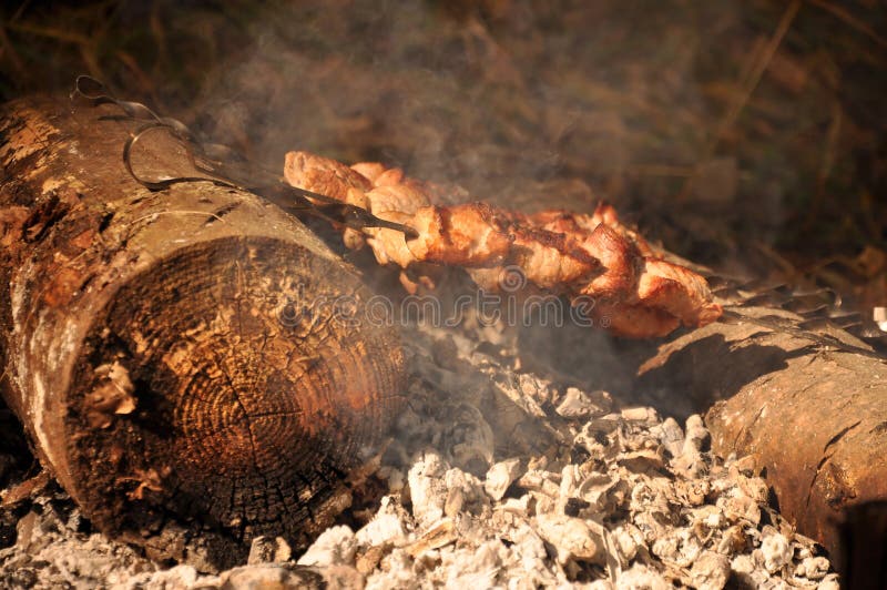 Kebab on fire stock image. Image of gourmet, cook, flame - 21922277