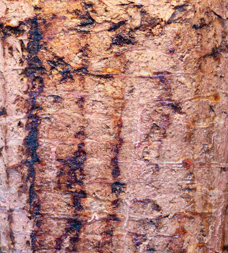 Kebab Meat Texture while Cooking. Close-up Stock Image - Image of grill ...