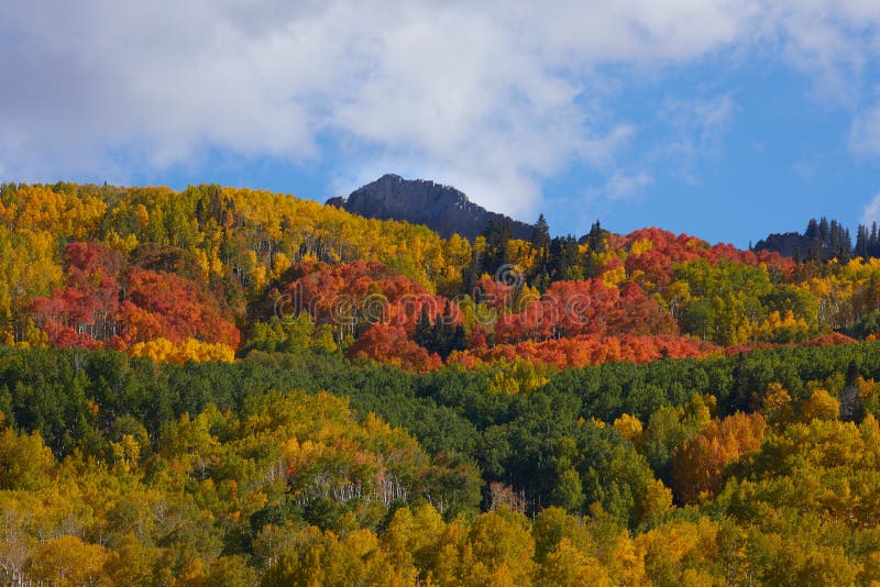 Kebler Pass Colorado Fall on the Pass Stock Image - Image of tree ...