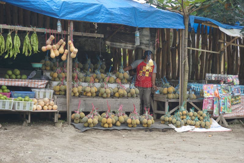 Kediri, East Java, Indonesia - February 28th, 2021: Traditional Fruit ...