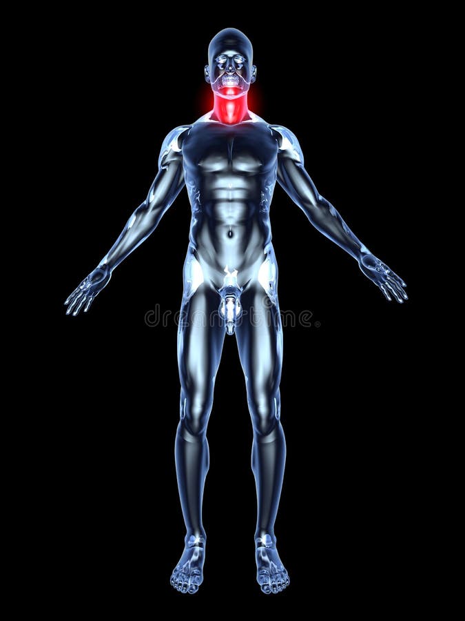 Keelpijn - Anatomie stock illustratie. Illustration of heup - 22805338