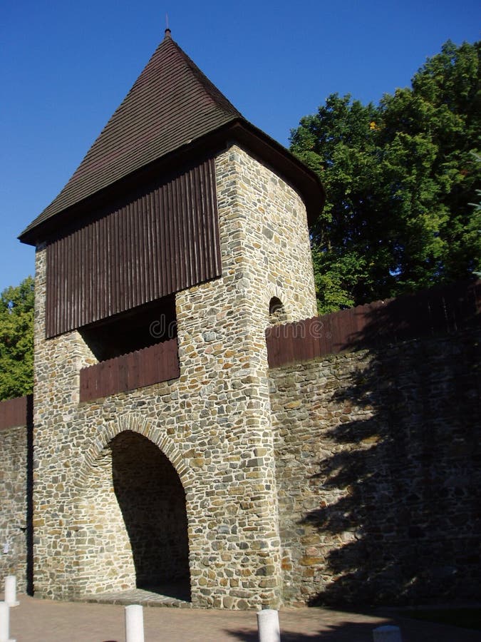 Keep stock image. Image of gothic, brown, door, branch - 6427871