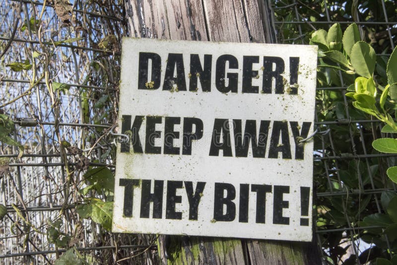 The Bite Sign on the Man`s Leg. Dangerous Wound. Antiseptic on Skin ...