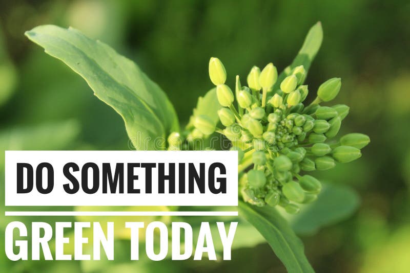 Do Something Green Today Text on Green National Plants. Lands View ...