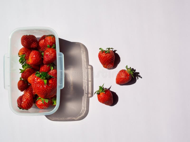 Keep it Fresh: Strawberries in Plastic Transparent Container. Top View ...