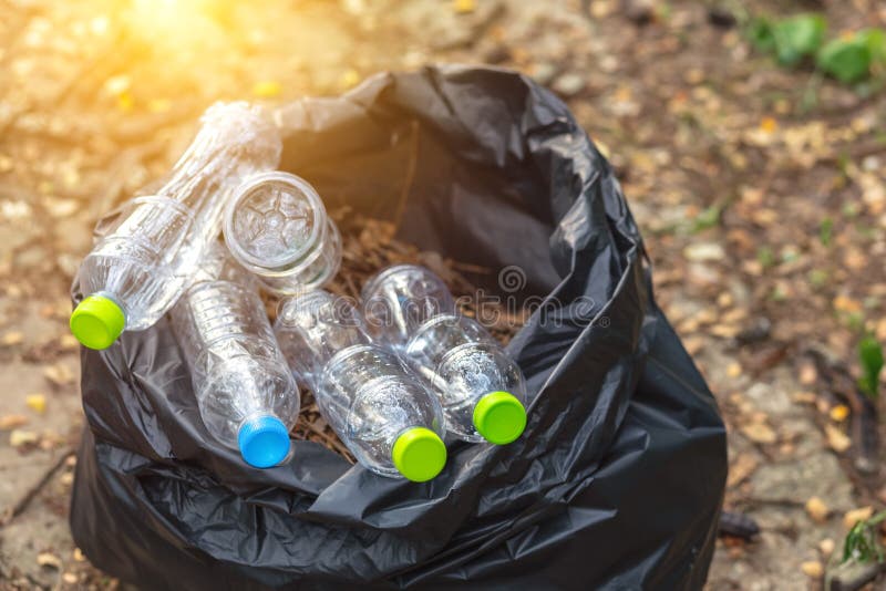 Keep Garbage in the Forest. Save the World Concept Stock Image - Image ...