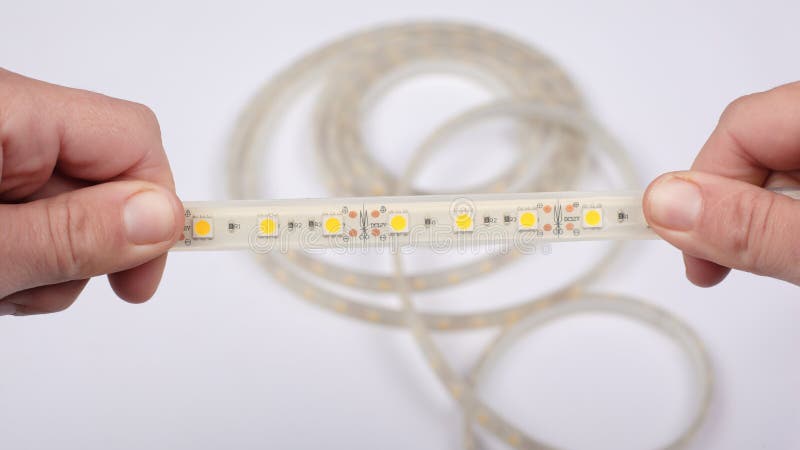 Keep in Hand LED Tape on a White Background Close Up. Stock Photo ...