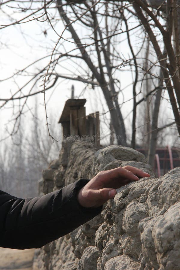 Keep Hand on the Old Stone Wall Stock Photo - Image of forest, plant ...