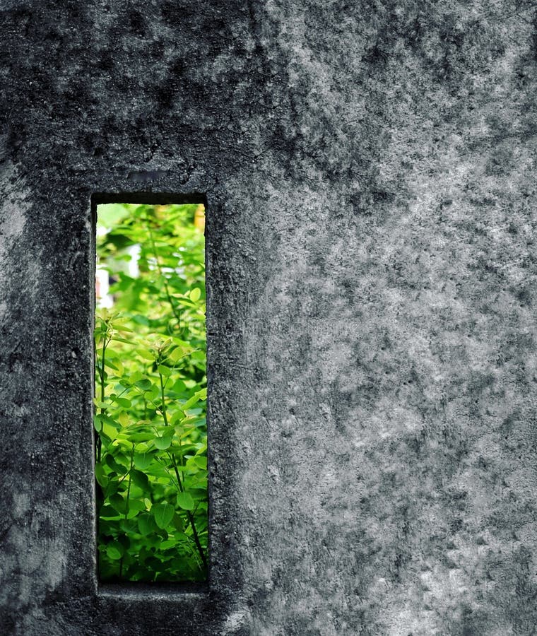 Keep it inside stock image. Image of plants, green, wall - 120521171