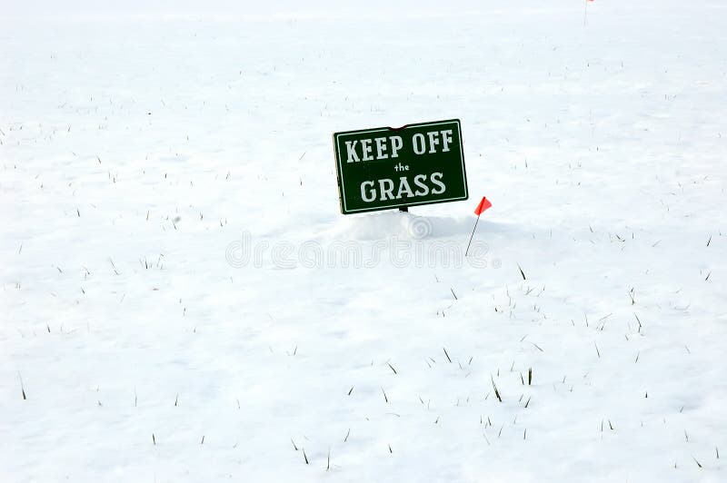 Keep Off the Grass stock photo. Image of flag, sign, humorous - 397792