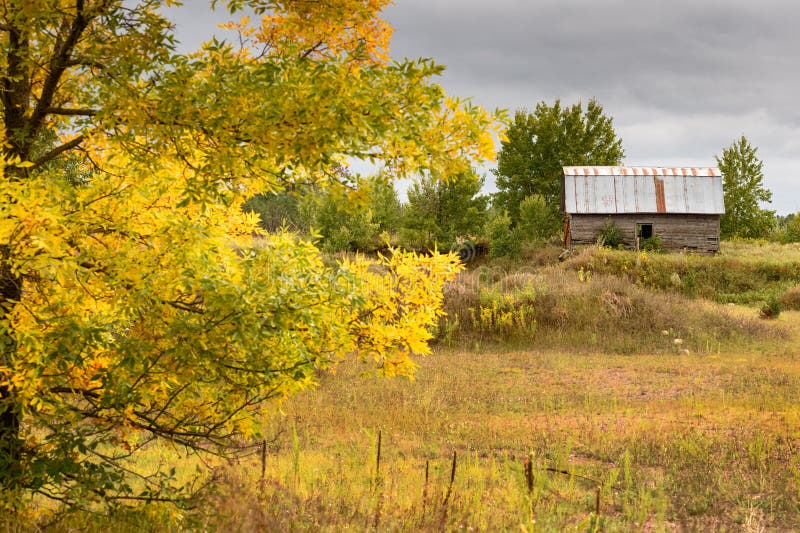 Keep Out Barn Tree on Left stock image. Image of rusty - 290864693