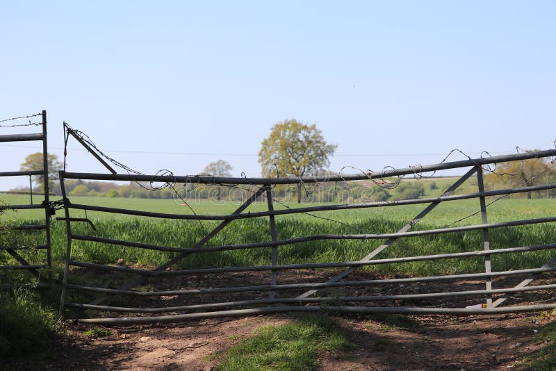 Sharp Barbed Wire on a Gate Stock Image - Image of stop, field: 179989917