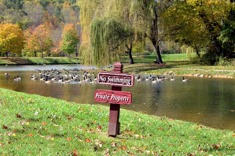 Keep Someone Posted Basketball Stock Photos - Free & Royalty-Free Stock ...