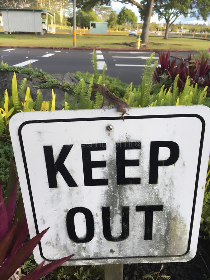 Travel Nature Active Recreation Vegetation Landscapes Stock Image ...